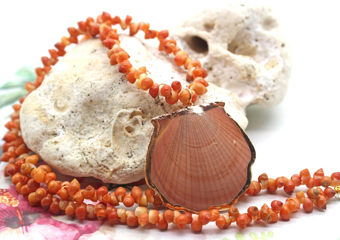 Sea Shell Necklace, Mongo Snail and Scalloped Shell Necklace, Beach ...