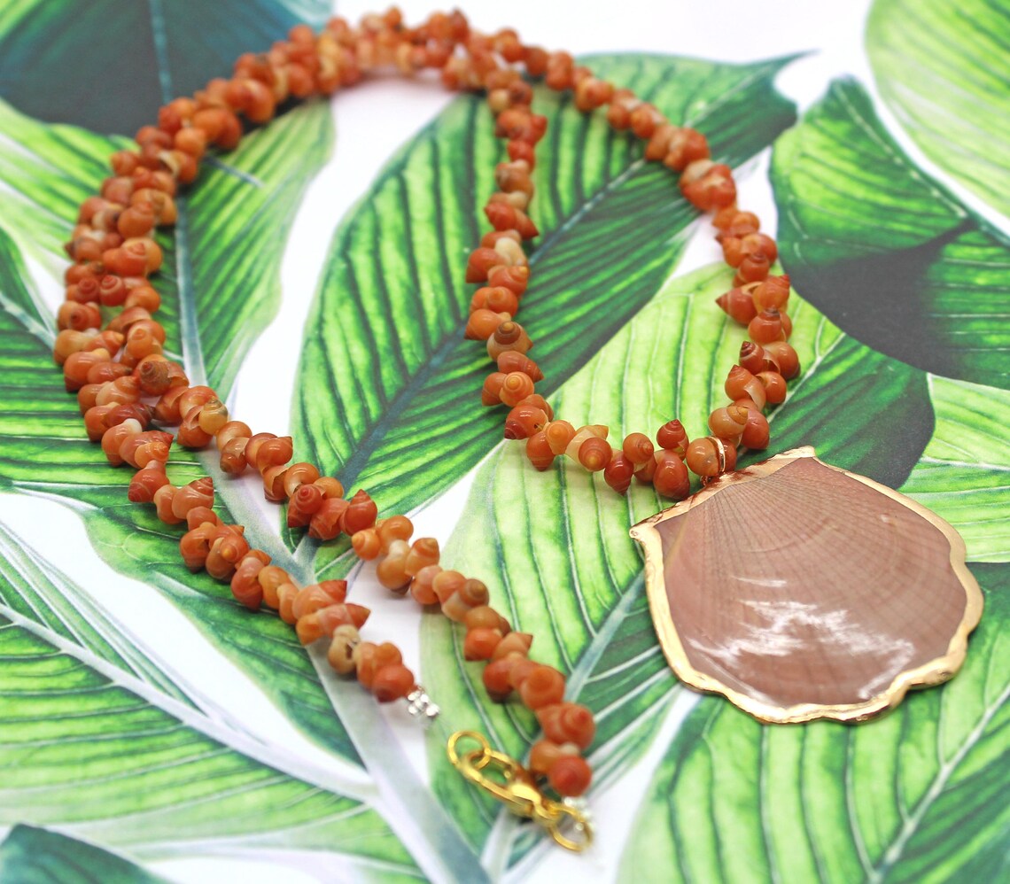 Sea Shell Necklace Mongo Snail and Scalloped Shell Necklace - Etsy