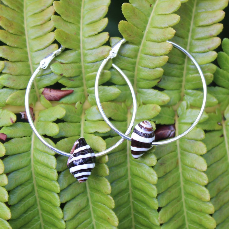 Shell Earrings Beehive Shell Earrings Beach Jewelry Sea - Etsy