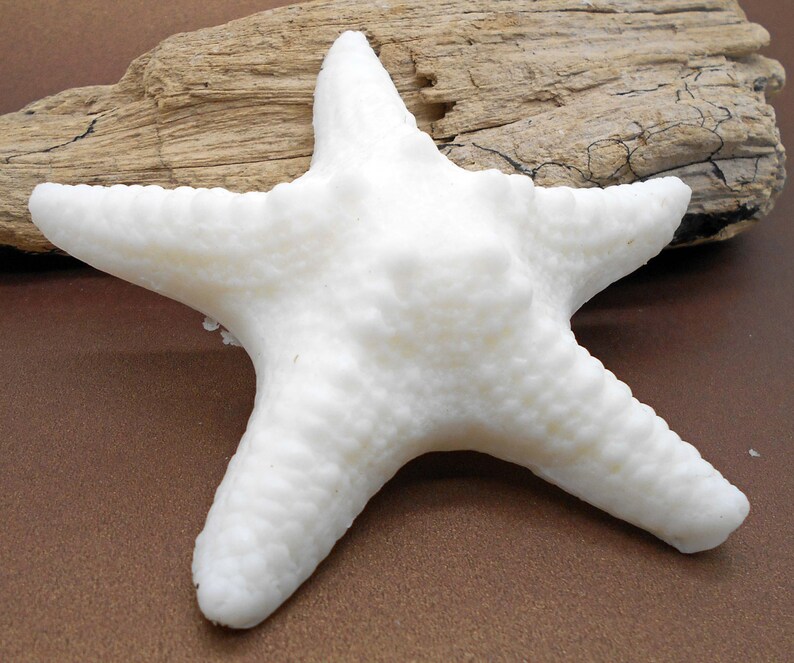 Large Starfish Goats Milk Soap Beach Soap Natural Soap | Etsy