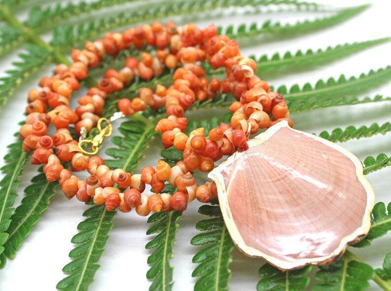 Sea Shell Necklace Mongo Snail and Scalloped Shell Necklace - Etsy