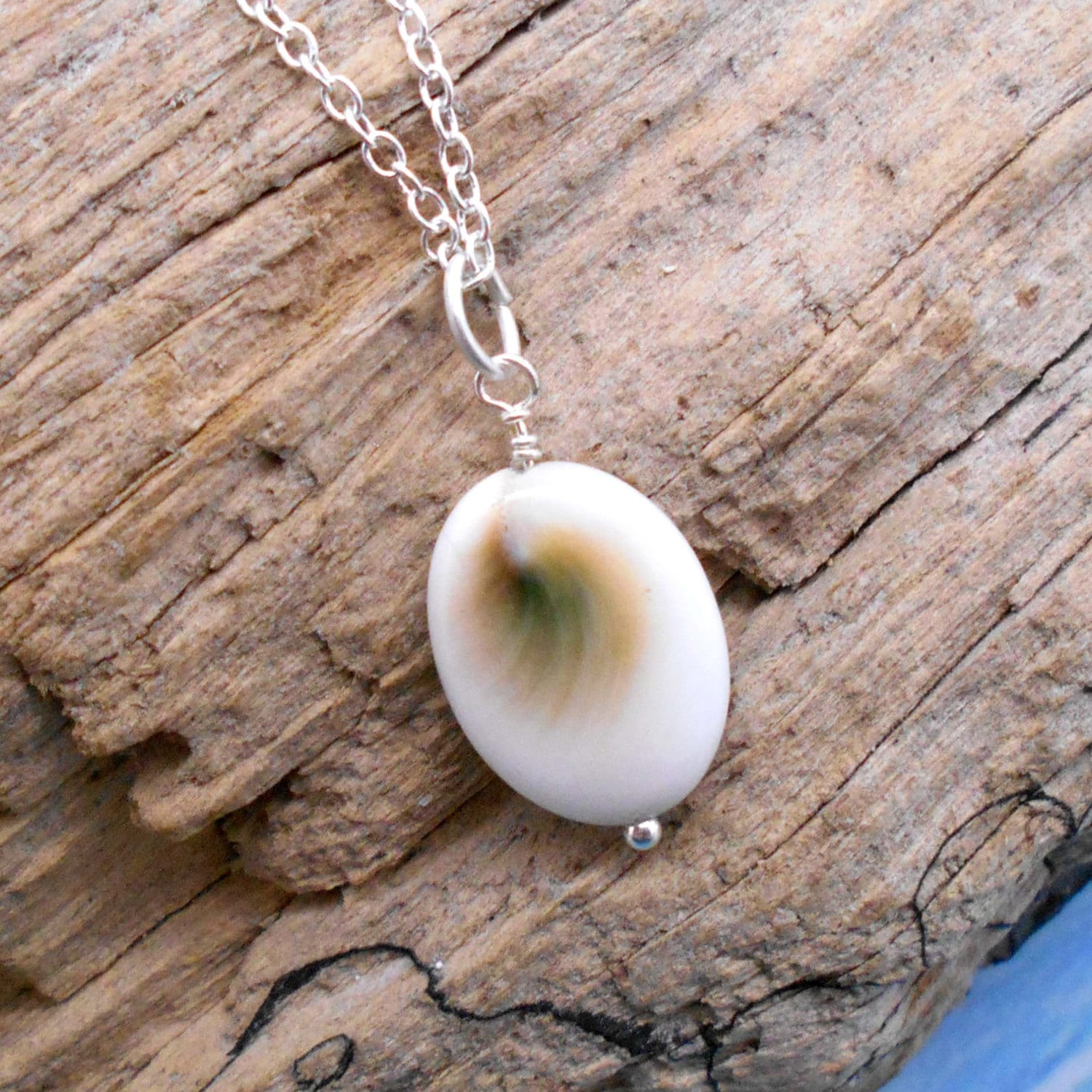 Sea Shell Necklace Spiral Cat Eye Shell Eye of Shiva | Etsy