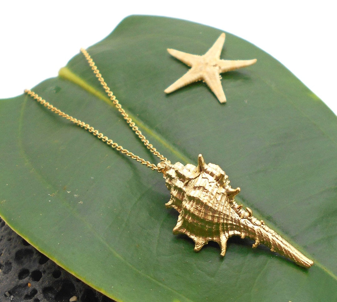 Sea Shell Necklace, Gold Sea Shell Necklace Surfer, Beach, Shell, Sea ...
