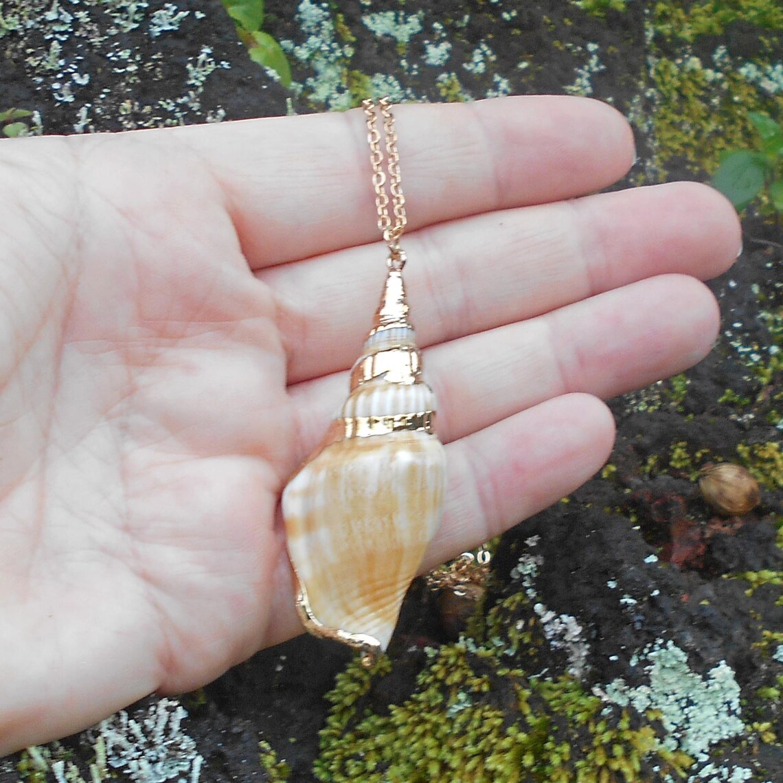 Sea Shell Necklace Gold Trimmed Shell Necklace Beach - Etsy