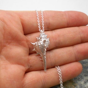 Sea Shell Necklace Surfer Beach Shell Sea Shell - Etsy