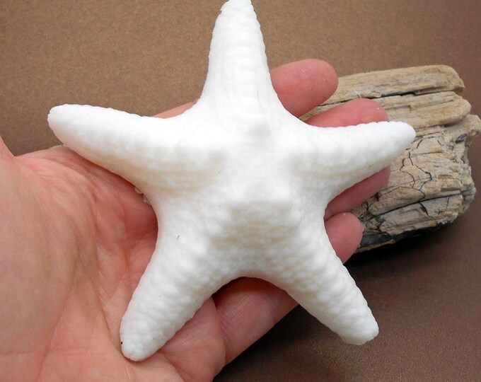 Large Starfish Goats Milk Soap Beach, Soap, Natural Soap, Beach Wedding ...