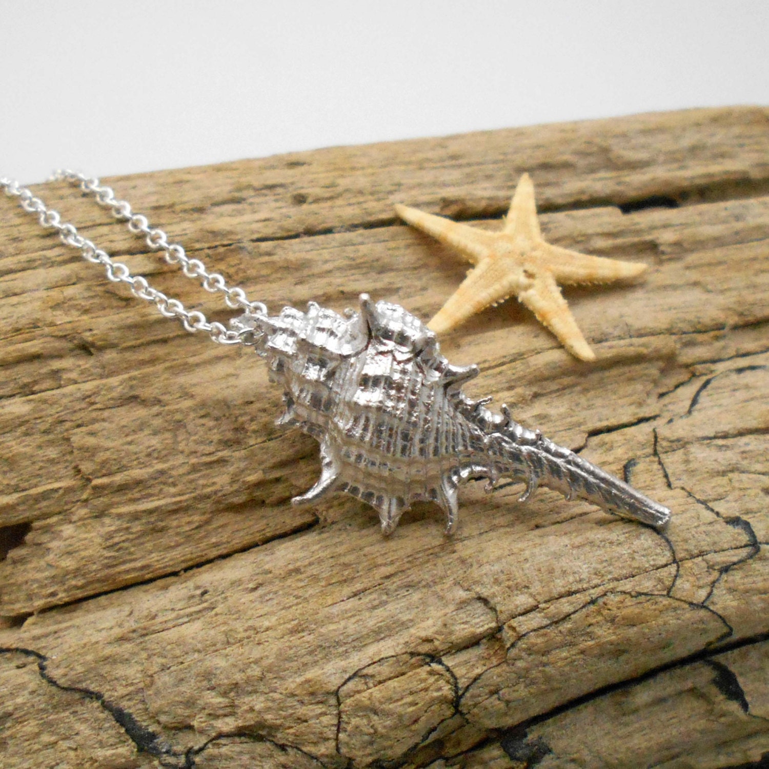 Sea Shell Necklace Surfer Beach Shell Sea Shell - Etsy