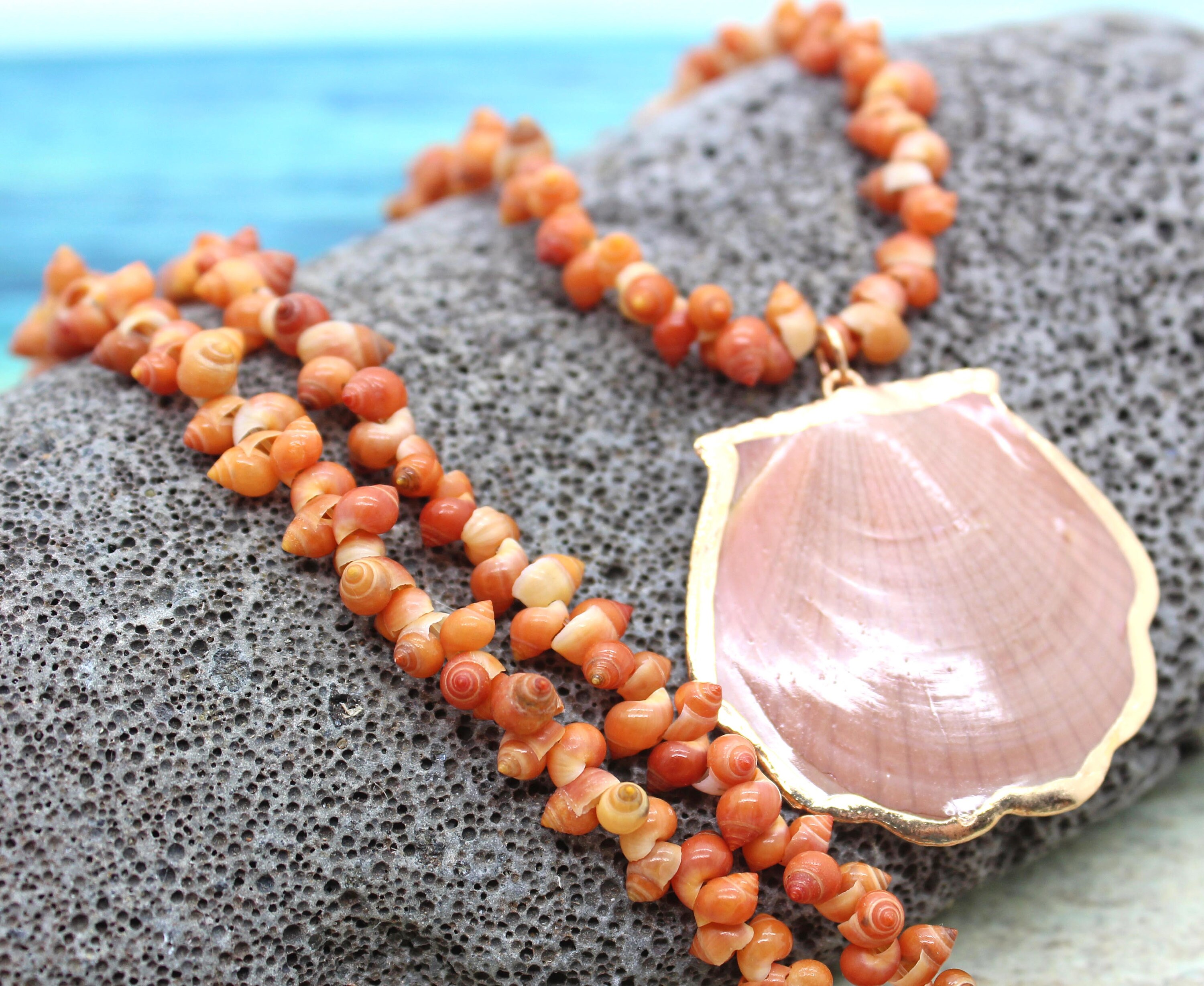 Sea Shell Necklace Mongo Snail and Scalloped Shell Necklace | Etsy