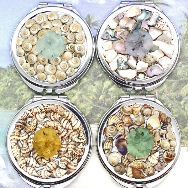 Sea Shell Mirror - Etsy