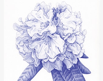 Lily Biro Pen Drawing / INSTANT DOWNLOAD / Flower / Flora / Printable ...