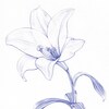 Lily Biro Pen Drawing / INSTANT DOWNLOAD / Flower / Flora / Printable ...