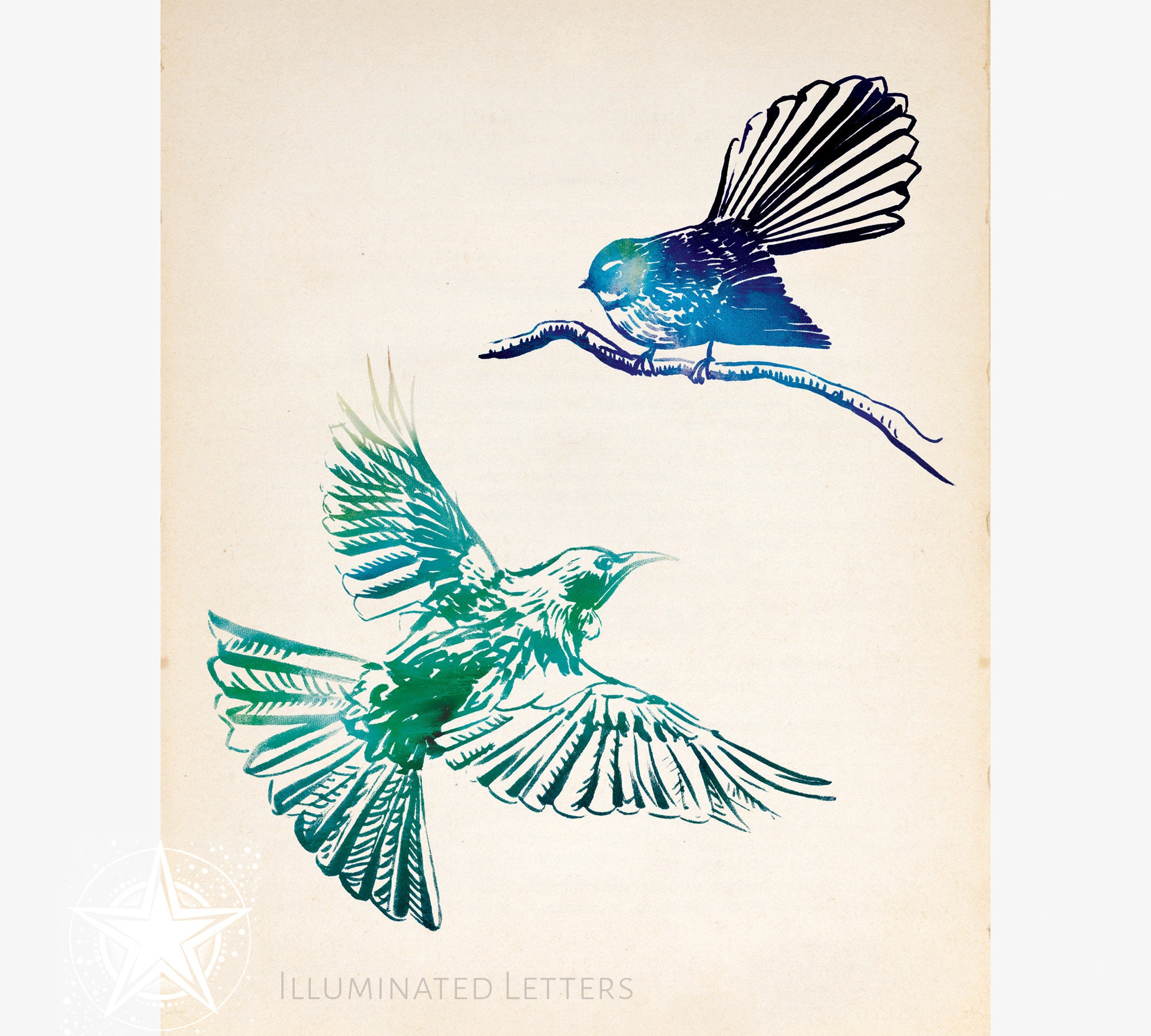 Tui Bird Clipart Template