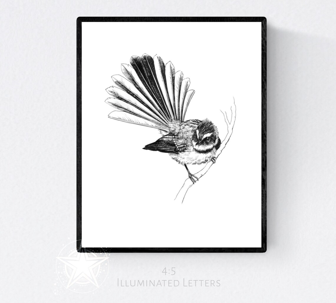 Fantail Illustration INSTANT DOWNLOAD / New Zealand Native Bird - Etsy