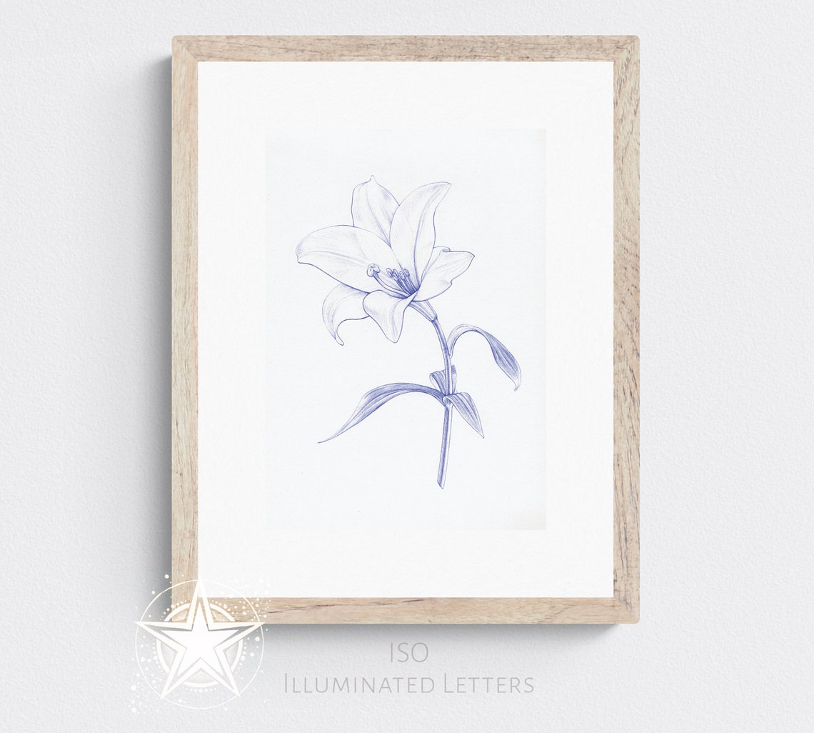 Lily Biro Pen Drawing / INSTANT DOWNLOAD / Flower / Flora / Printable ...