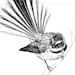 Fantail Illustration INSTANT DOWNLOAD / New Zealand Native Bird - Etsy