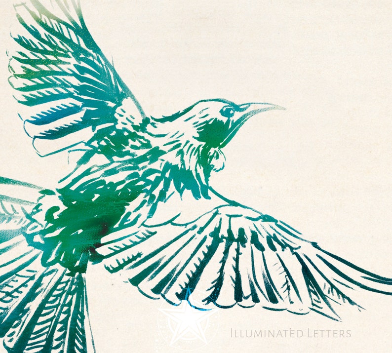 Green Tui / INSTANT DOWNLOAD / New Zealand Native Bird Illustration ...