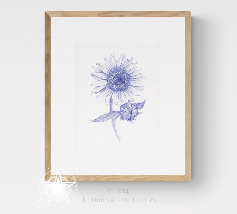 Sunflower Biro Pen Drawing INSTANT DOWNLOAD - Etsy