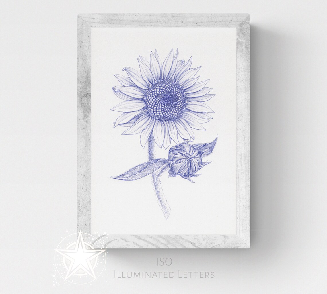Sunflower Biro Pen Drawing INSTANT DOWNLOAD - Etsy Canada