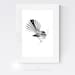 Fantail Illustration INSTANT DOWNLOAD / New Zealand Native Bird - Etsy