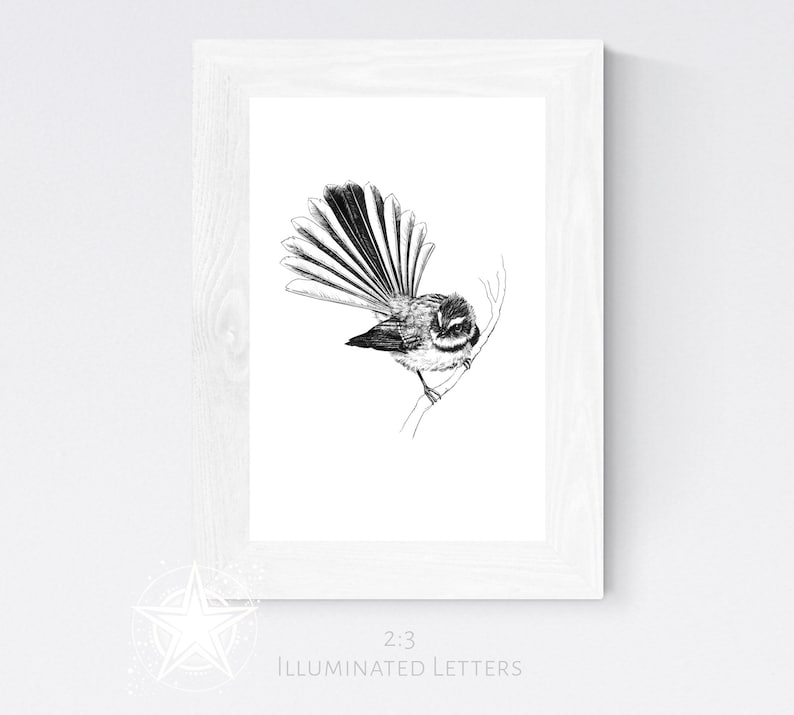 Fantail Illustration / INSTANT DOWNLOAD / Printable Art / Home Decor ...
