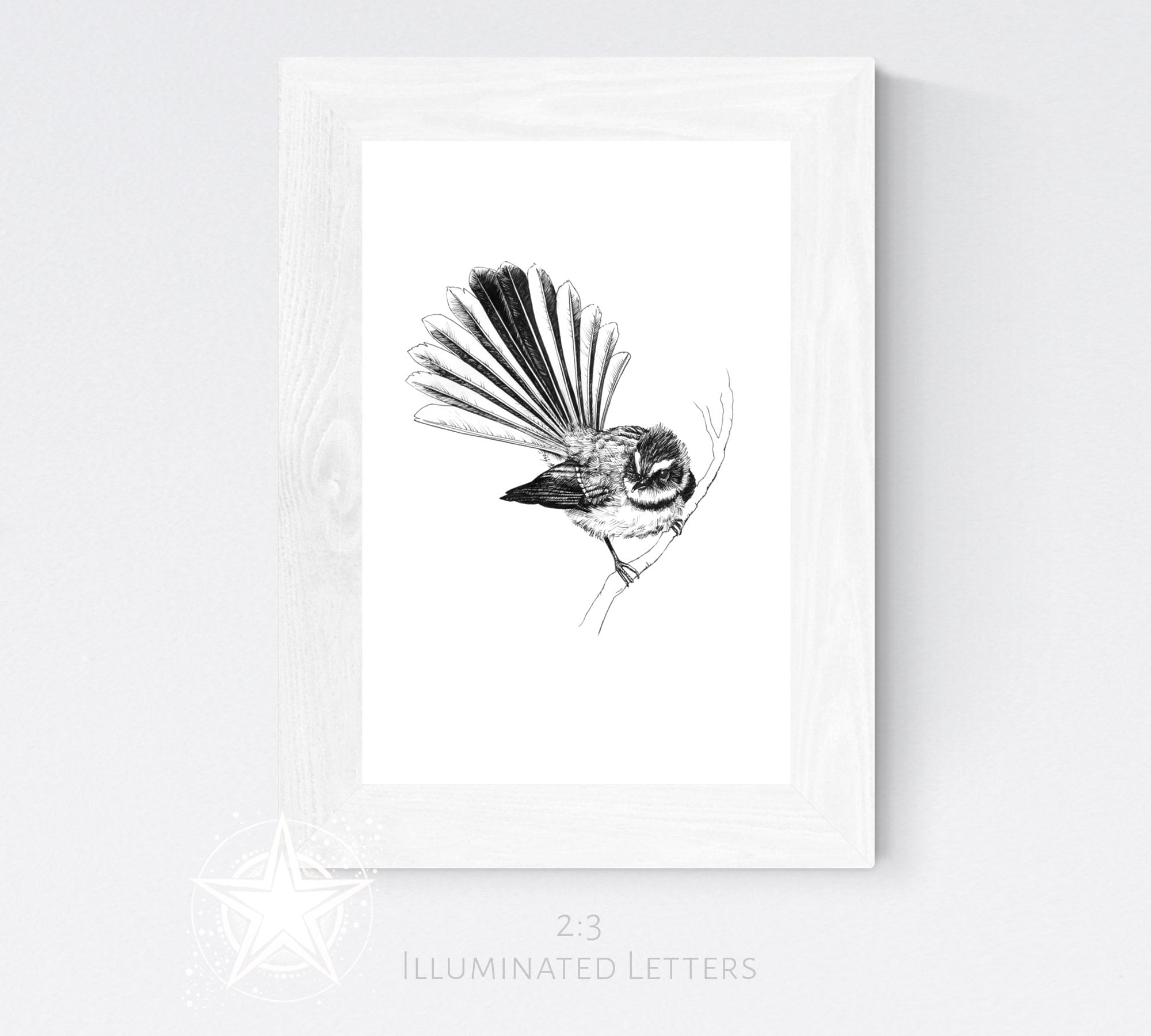 Fantail Illustration INSTANT DOWNLOAD / New Zealand Native Bird - Etsy