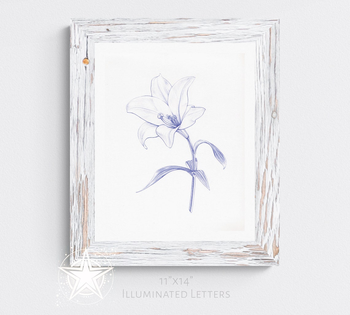 Lily Biro Pen Drawing / INSTANT DOWNLOAD / Flower / Flora / Printable ...