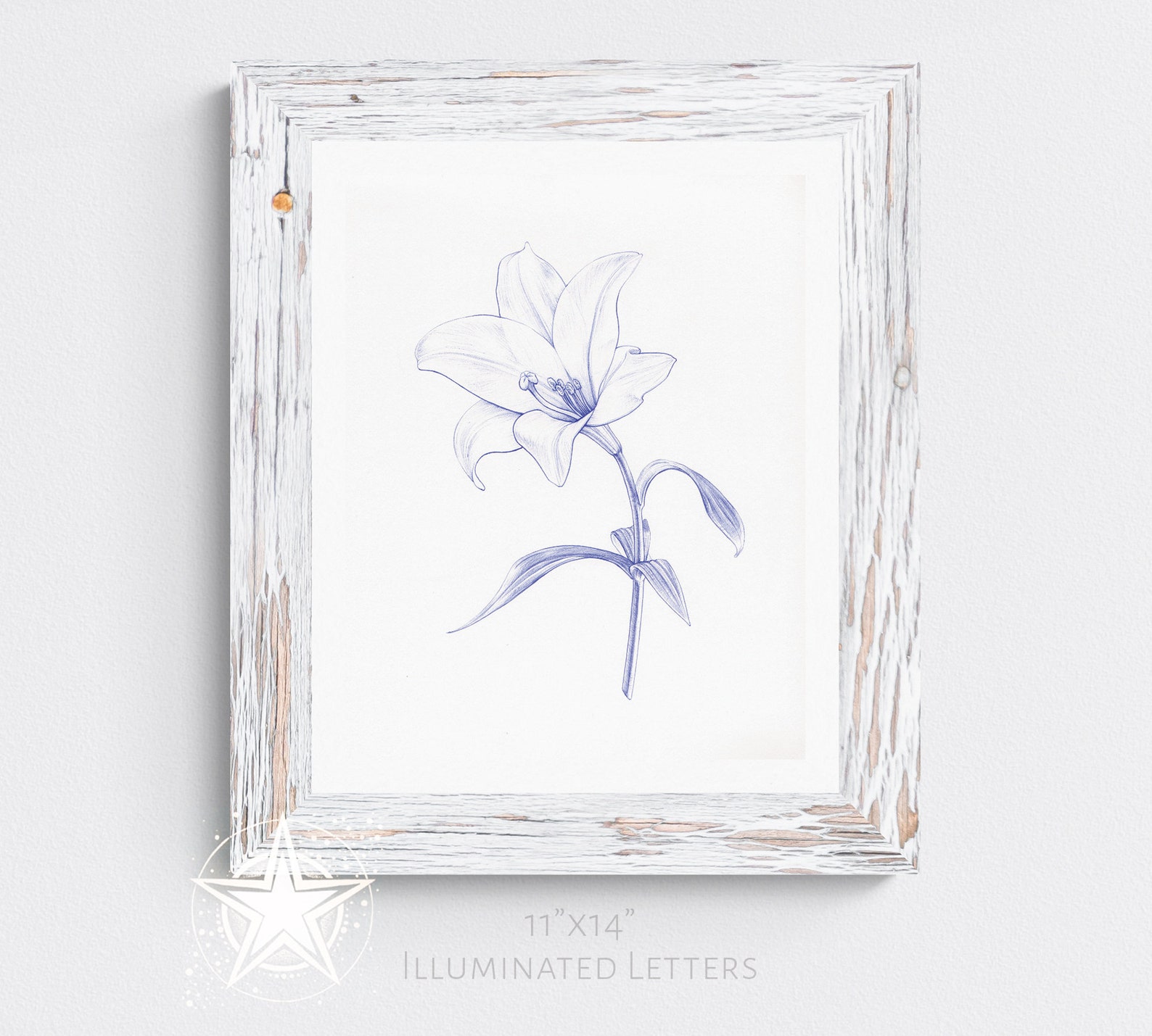 Lily Biro Pen Drawing / INSTANT DOWNLOAD / Flower / Flora / Printable ...
