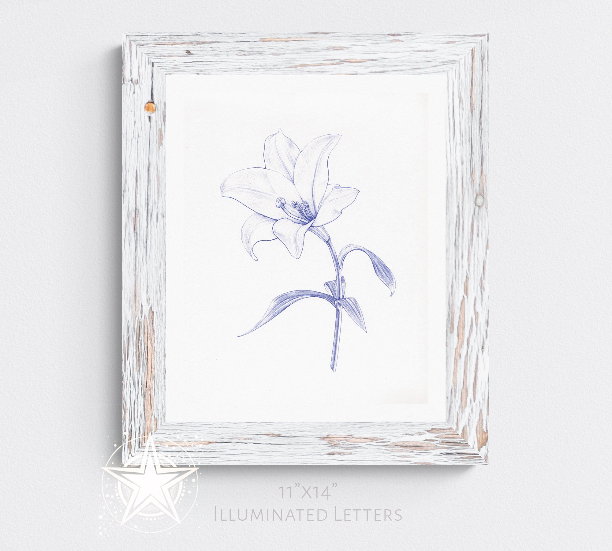Lily Biro Pen Drawing / INSTANT DOWNLOAD / Flower / Flora / Printable ...