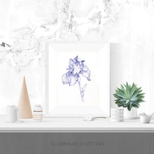 Iris Biro Pen Drawing / INSTANT DOWNLOAD / Flower / Flora / Printable ...