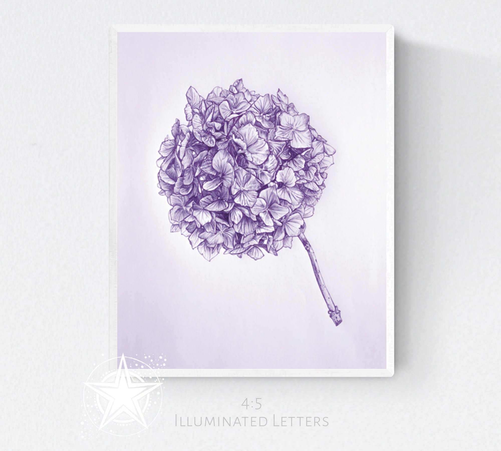 Purple Hydrangeas Drawing
