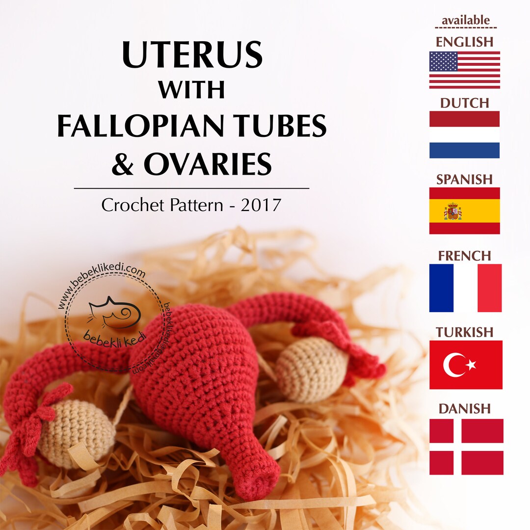 Crochet Pattern!! UTERUS With Fallopian Tubes & Ovaries | Womb Model ...