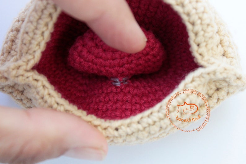 Crochet Pattern Lactation Teaching Tool Baby Mouth Model - Etsy