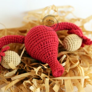 Crochet Pattern!! UTERUS With Fallopian Tubes & Ovaries | Womb Model ...