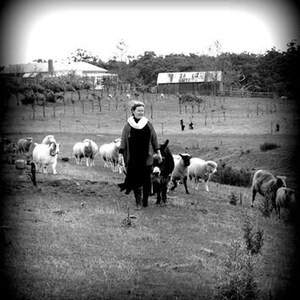 Sponsor a Sanctuary Sheep - Madge (bowie and Ziggy) at Ethical Wool - Etsy