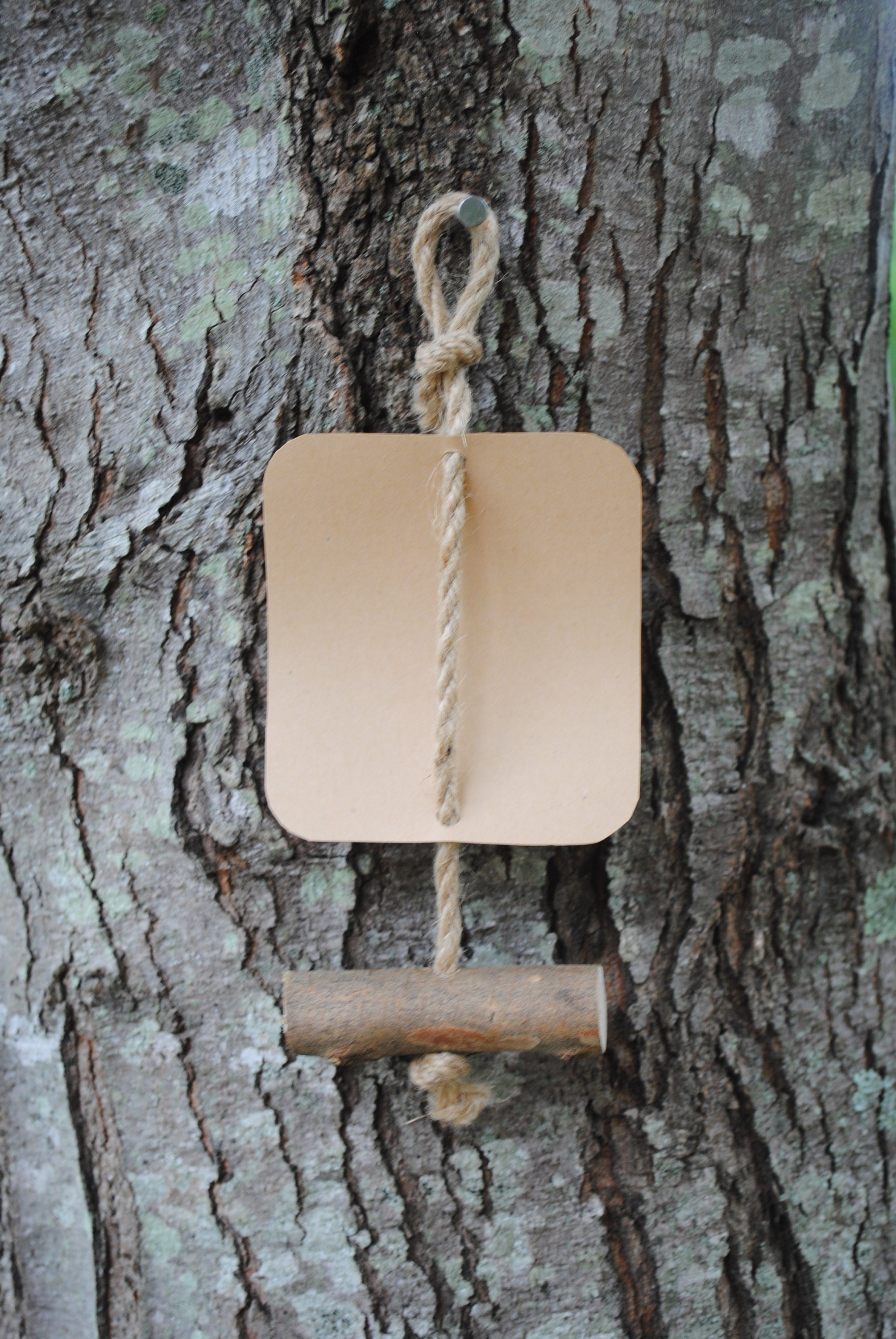 Hillbilly Weather Log Handmade Gag Gift Christmas Gift FREE SHIPPING - Etsy