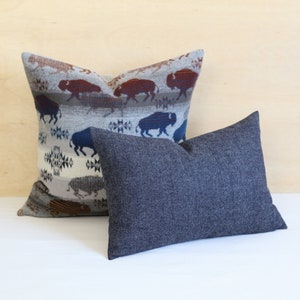 Gray Land of the Buffalo Wool Pillow Cover, Southwestern Pillow Cover ...