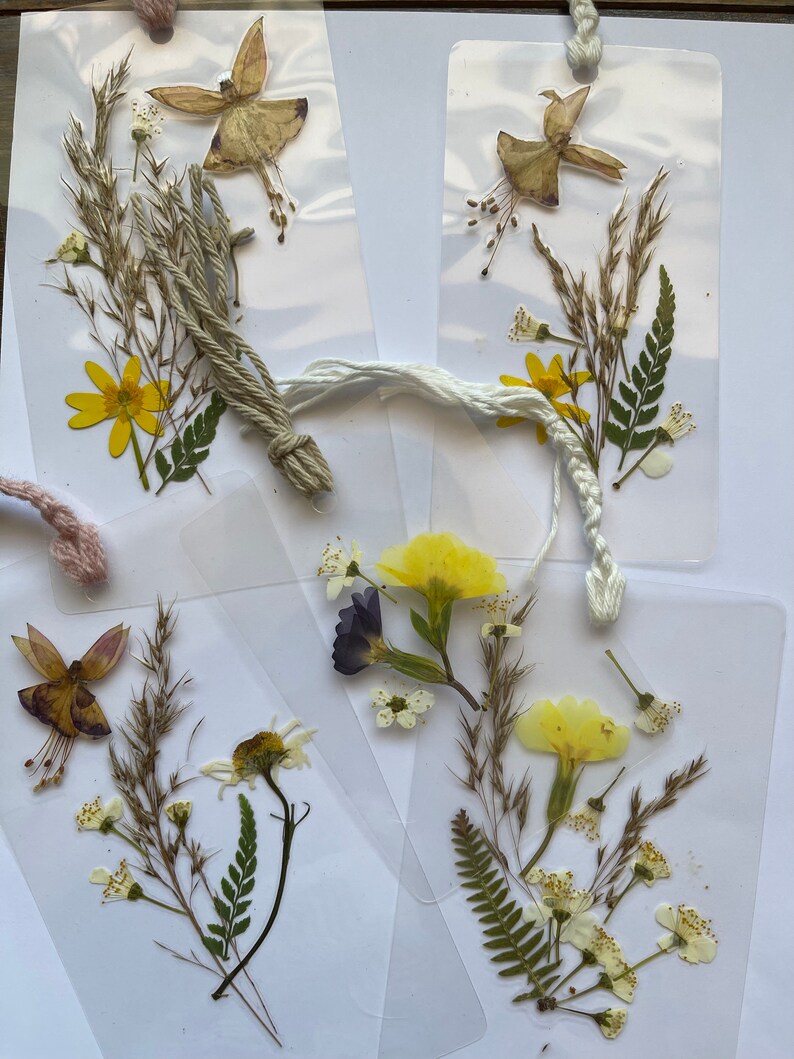 Pressed Flower Cards. Hand Picked Flowers Pressed White | Etsy