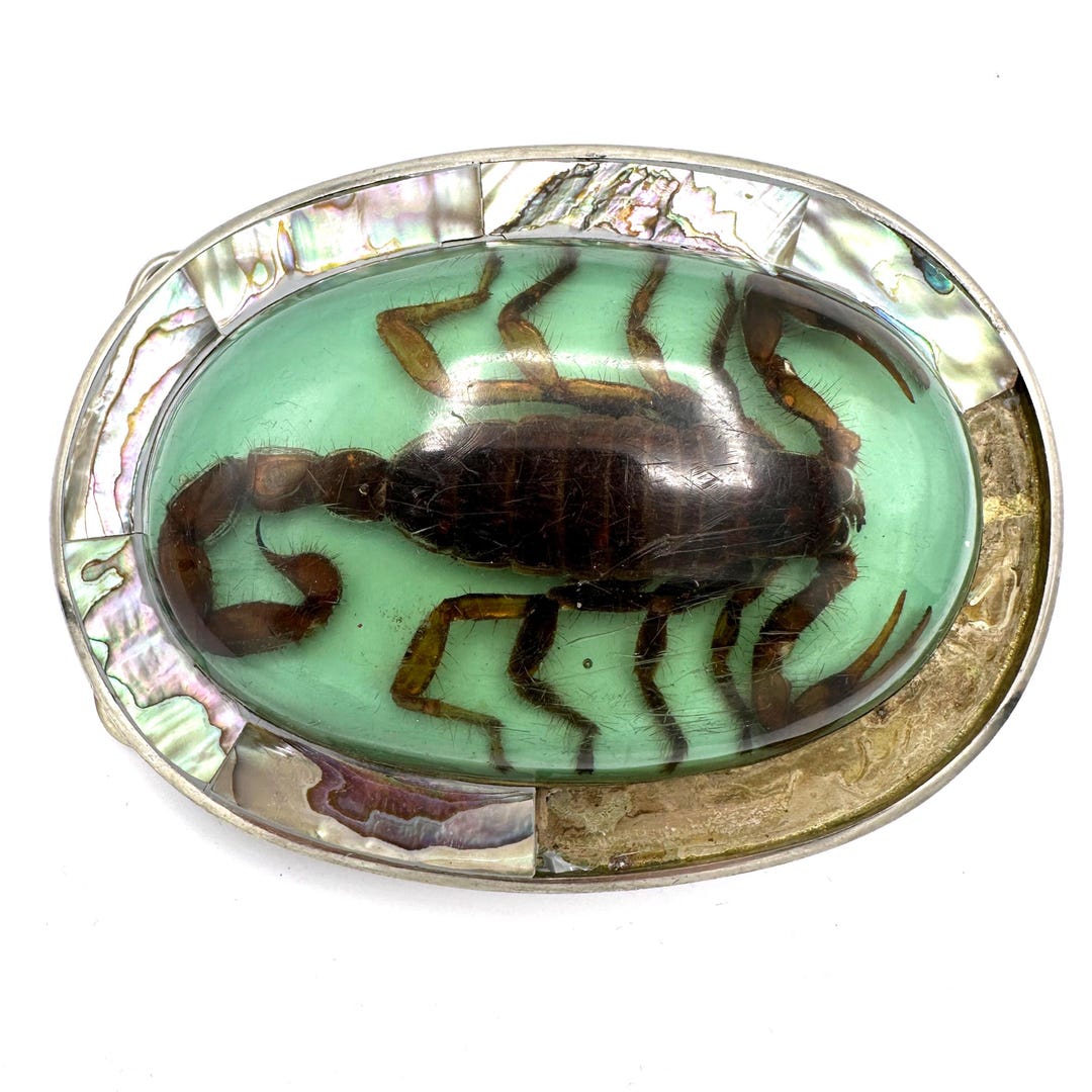 Y2K Vintage Encased Resin Scorpion Abalone Frame Belt Buckle Sold As-is ...