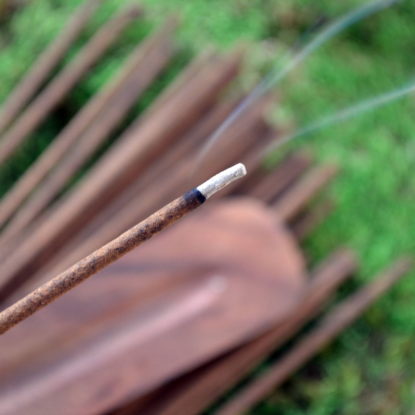 IRELAND BY MOONLIGHT Incense Sticks - Celtic Incense - Irish Moss ...