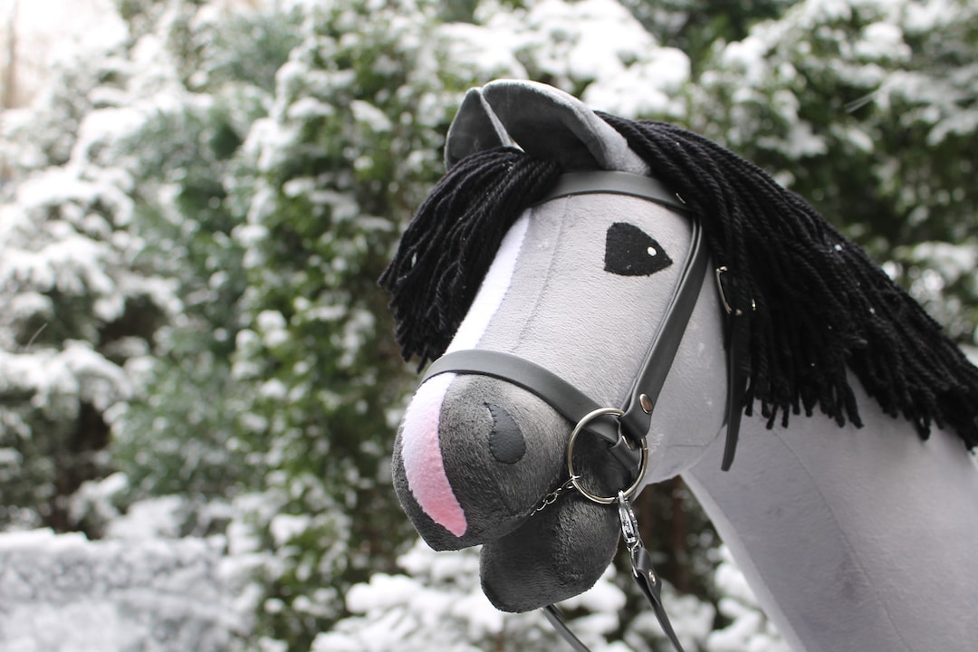 Hobby Horse A3 Blue Roan IVY - Etsy