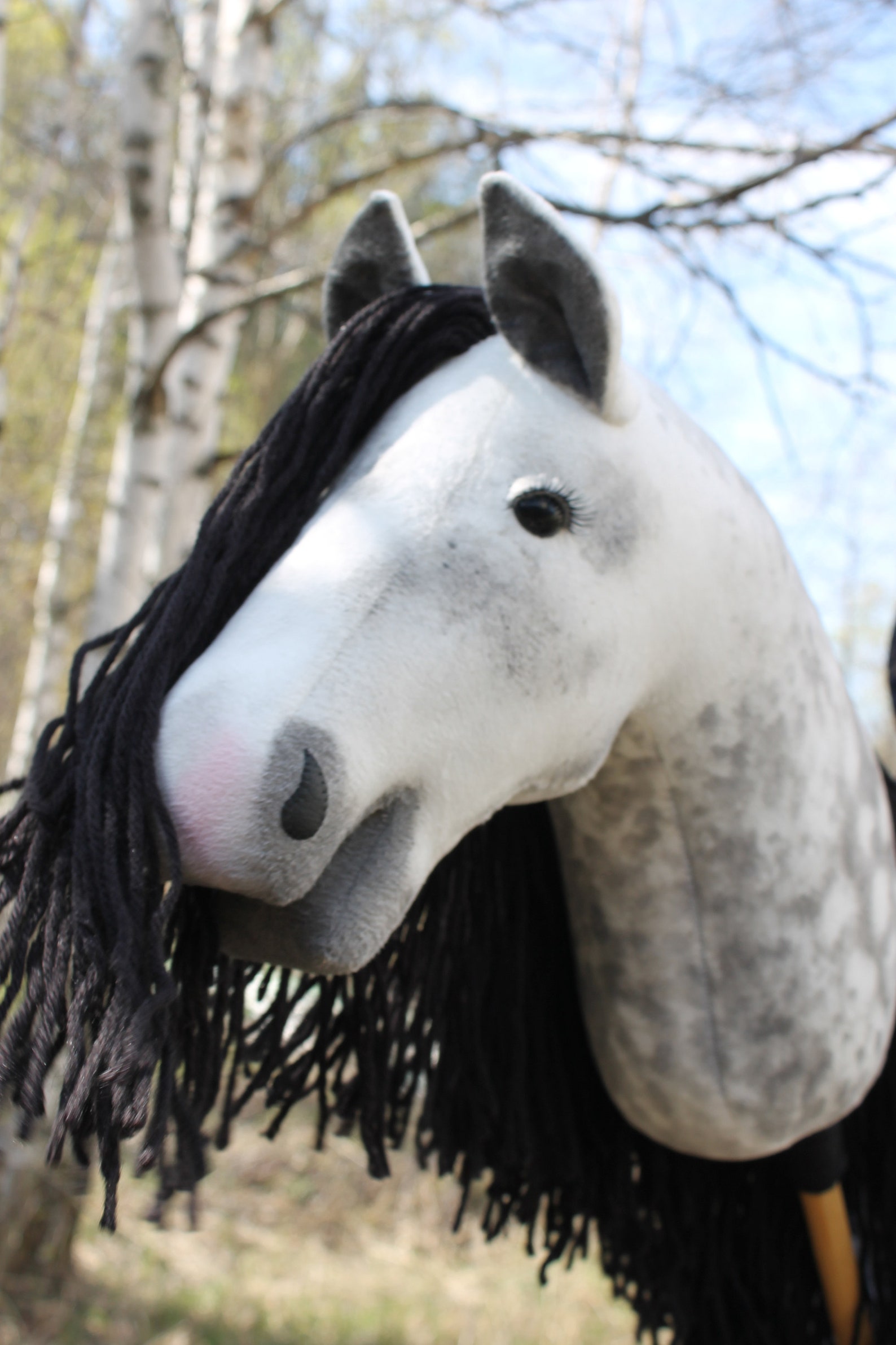 Hobby Horse SPRING Stickhorse Steckenpferd Hobby Horse - Etsy