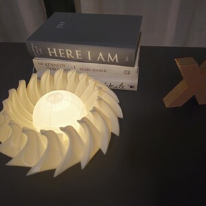 Swirling Grace 3D Printed Lamp - Unique PETG Design With LED Light - Etsy