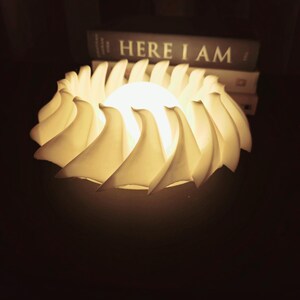 Swirling Grace 3D Printed Lamp - Unique PETG Design With LED Light - Etsy