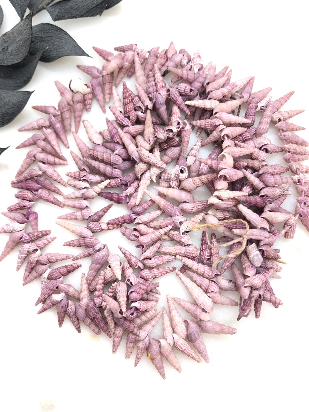 Antique Victorian Purple Shell Necklace - Etsy