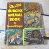 Burgess Bird Book for Children Book Companion & Notebooking Guide ...
