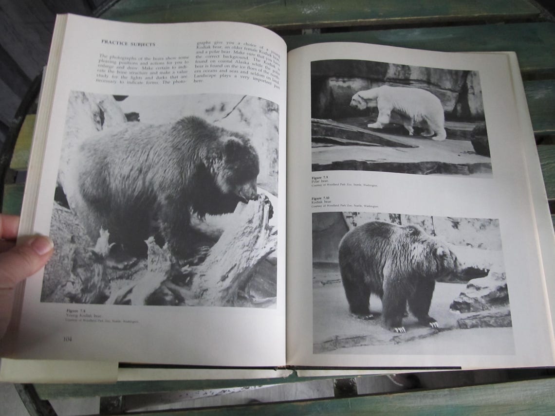 Vintage the Art of Painting Animals Beginning Artist's Guide Frederic ...