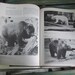 Vintage the Art of Painting Animals Beginning Artist's Guide Frederic ...