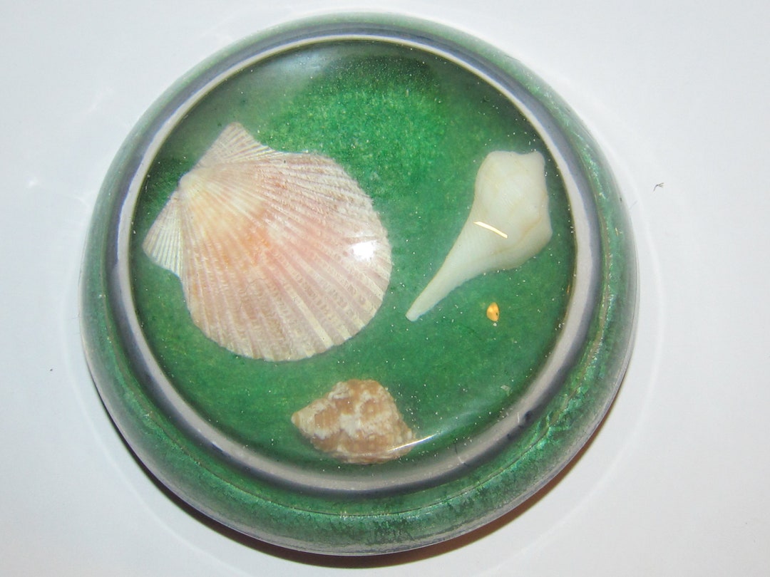Vintage Clear Glass Paperweight With Natural Seashells / Desktop Round ...