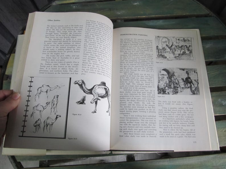 Vintage the Art of Painting Animals Beginning Artist's Guide Frederic ...