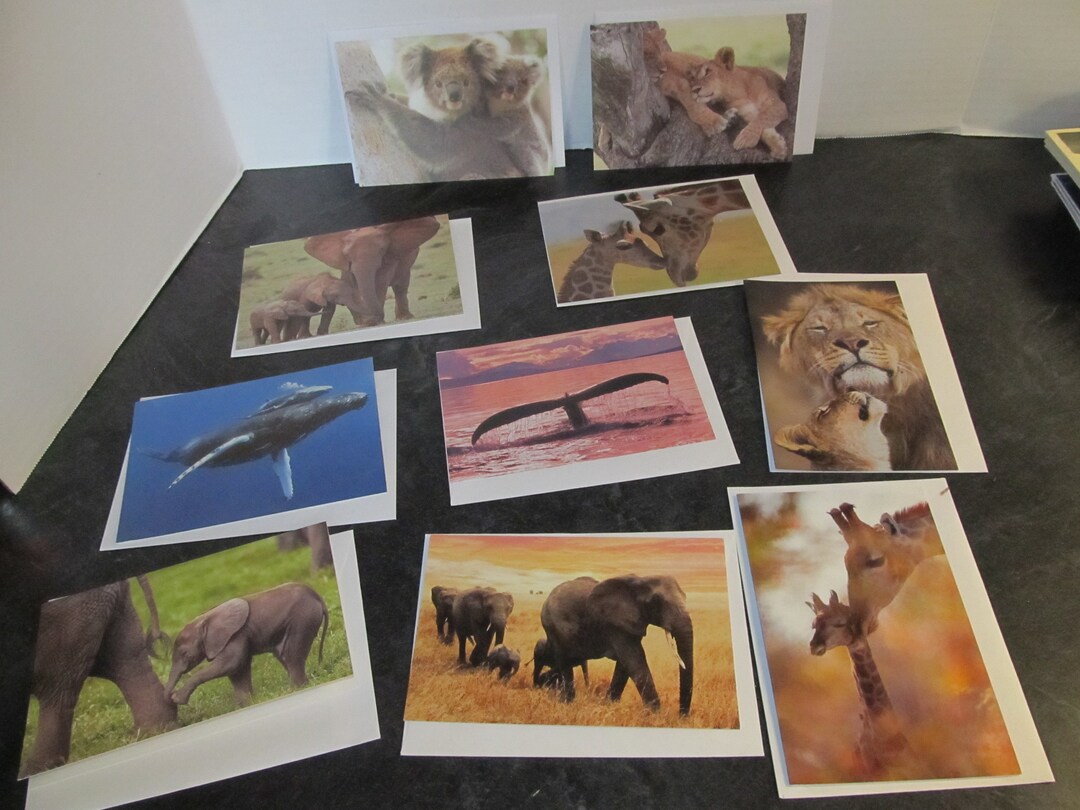 10 IFAW Wild Animals Blank Greeting Note Cards / Matching Envelopes ...
